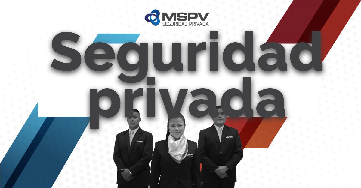 Que No te Multen por Contratar Servicios de Seguridad - MSPV
